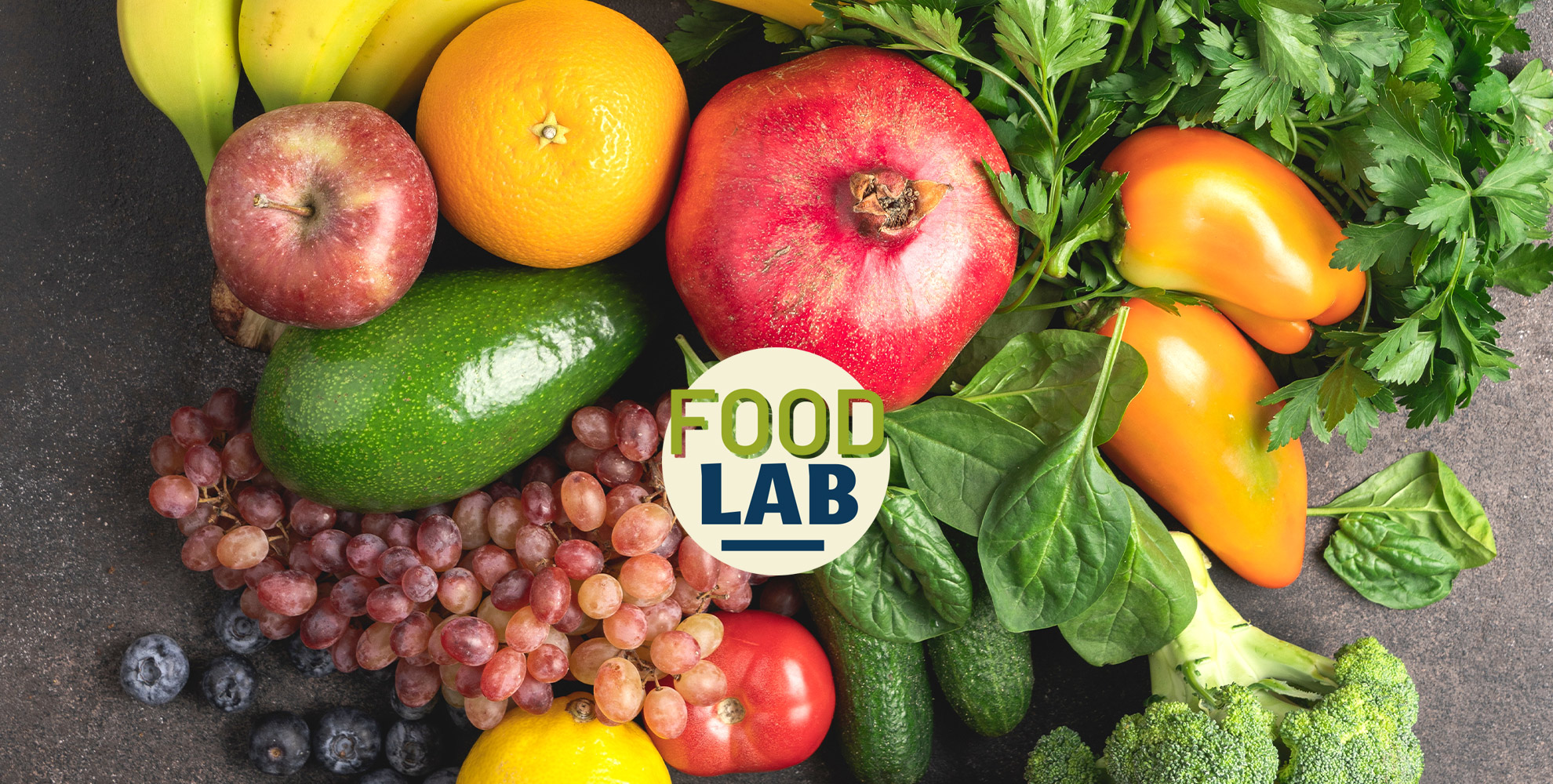 FoodLab : une nouvelle infrastructure agroalimentaire pour les Hauts-de ...