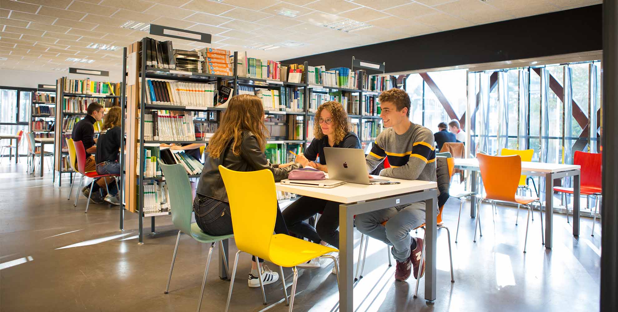 Qualification EESPIG : la reconnaissance de la qualité des écoles de la ...